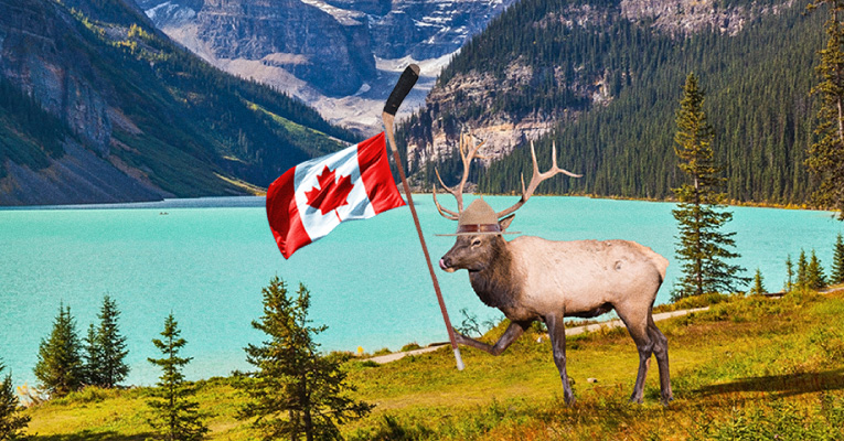 Canada’s Top 10 Iced Teas - Steep Thoughts