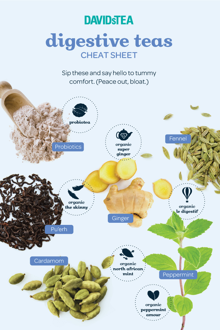 6 wellness teas that quench more than just your thirst - Steep Thoughts