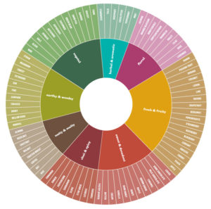 Tasting 101: Understanding Our Tea Flavour Wheel - Steep Thoughts
